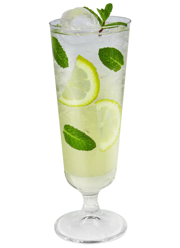 SloJo Litchi Lemon Cordial - Slojo | The Designer Drinks Company