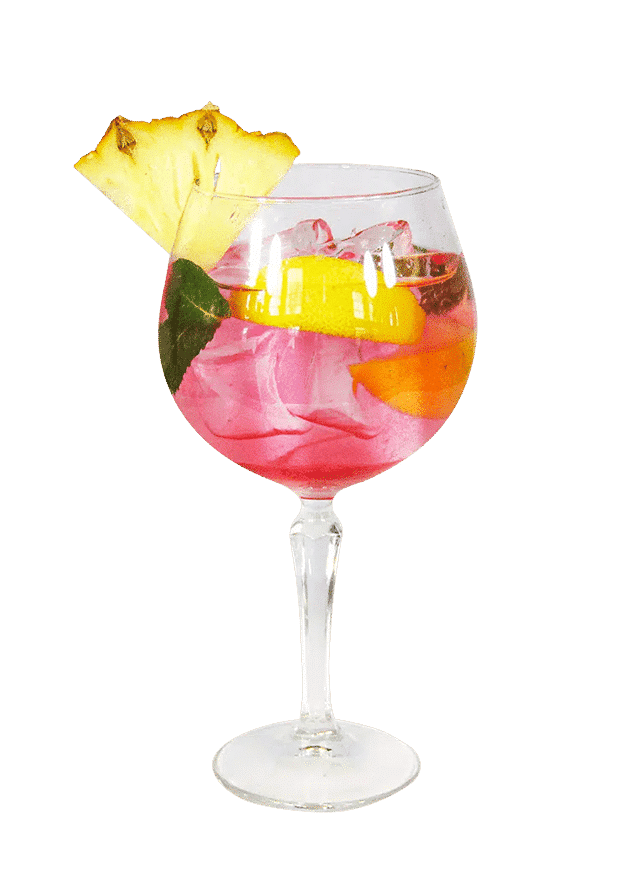 Ruby Pineapple G&T - Slojo | The Designer Drinks Company